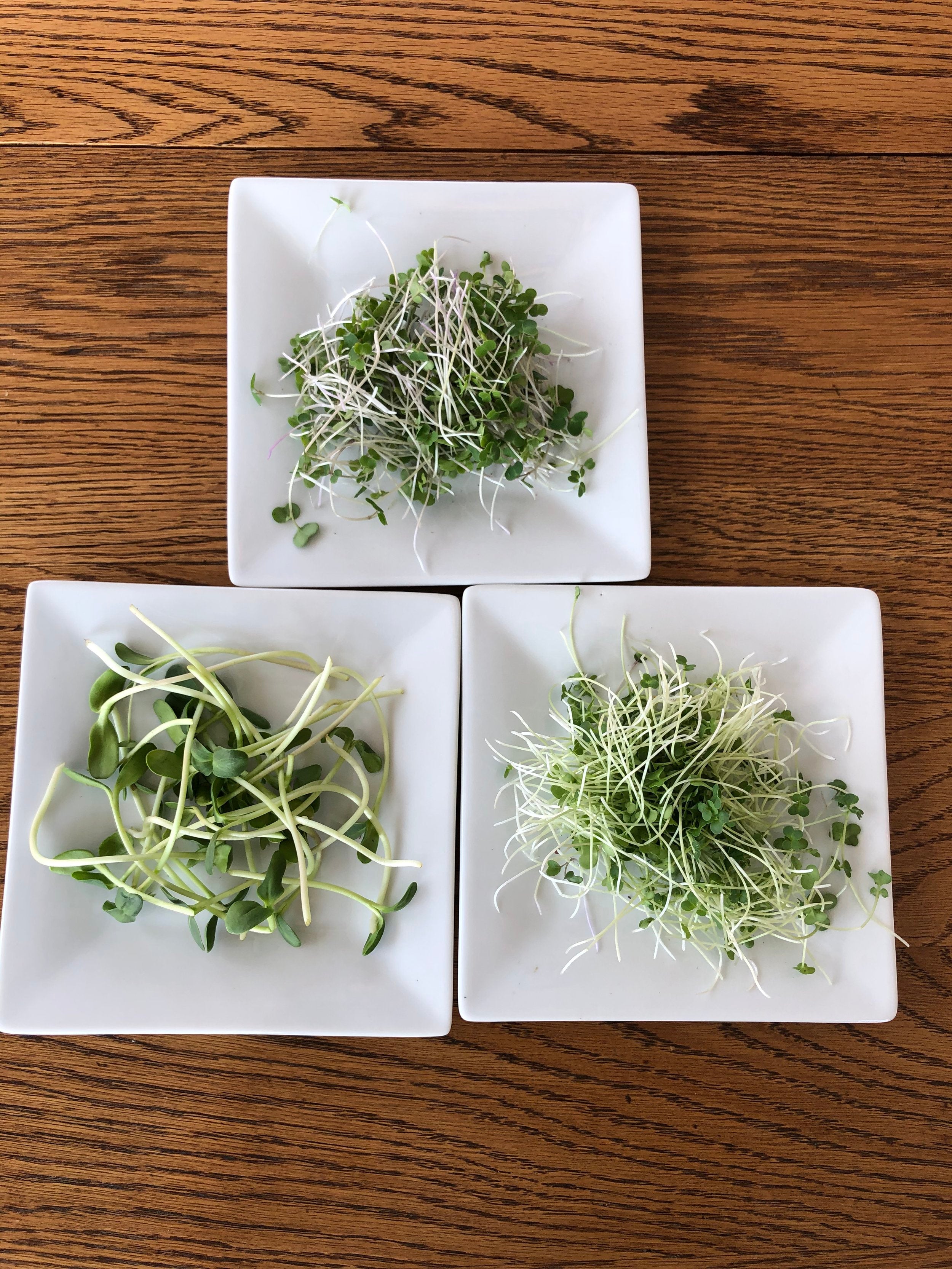 Mild Mix – Delectamenti Eats