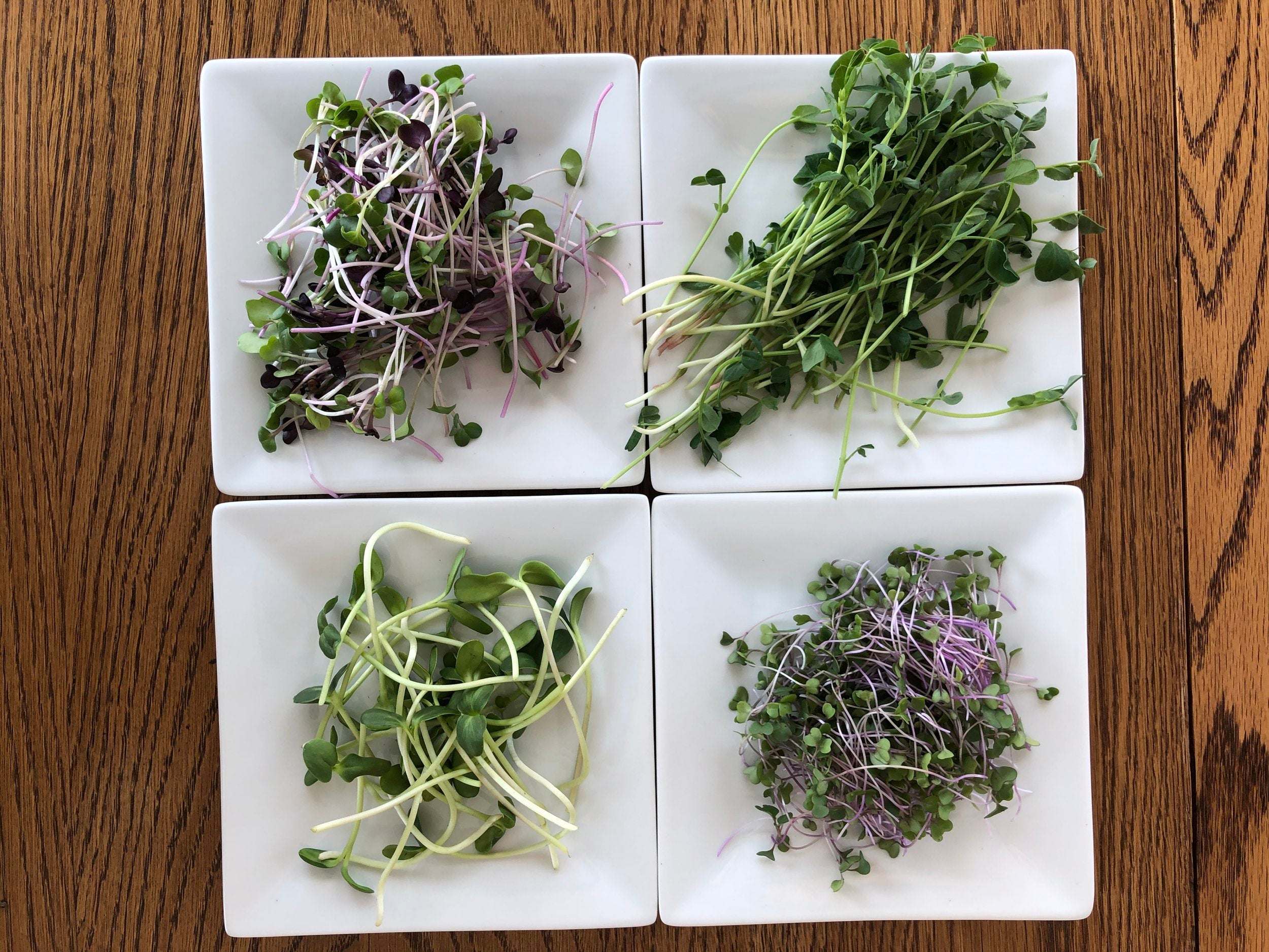 Sunny Sampler – Delectamenti Eats